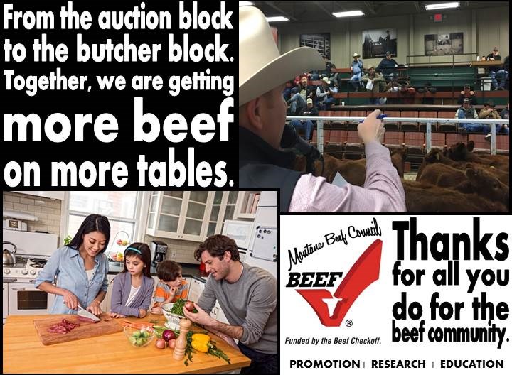 Beef Checkoff Logo